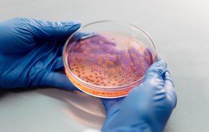 Is Biology Hard? (11 Things You Can Expect)