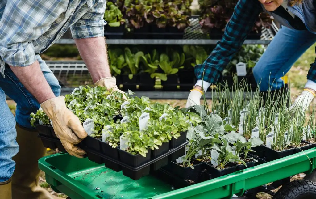 Is Horticulture a Good Career? (11 Things To Consider)